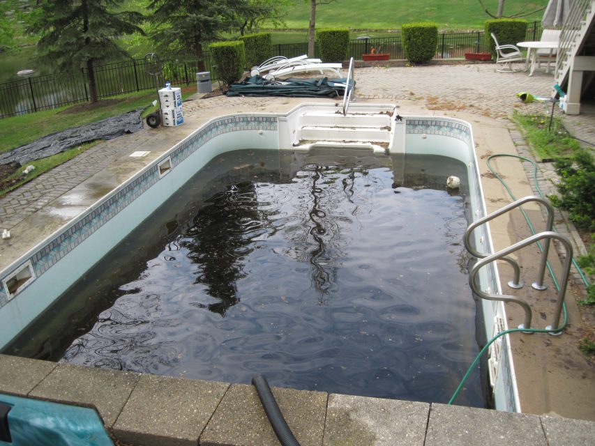 Cleaning Up a Summer Swamp - PoolPro